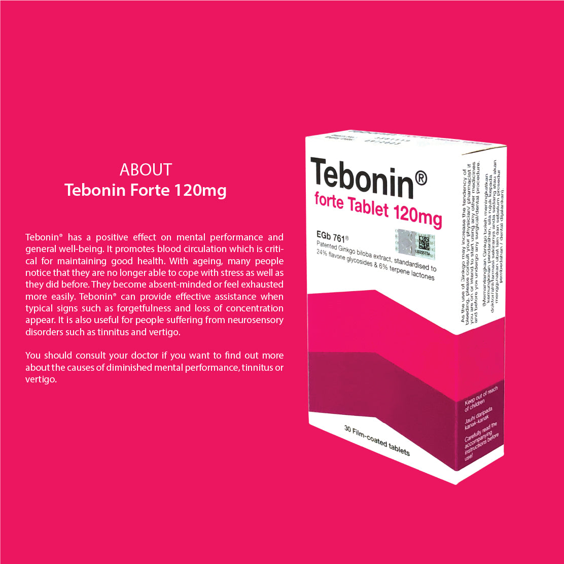 Tebonin Forte with Ginkgo Biloba 120mg 2x15s | Blood Circulation